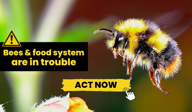 3 Reasons why we must save the bees - Greenpeace Canada