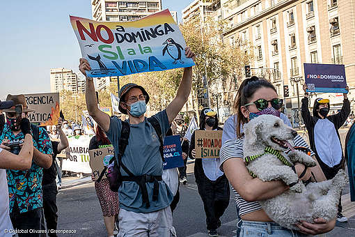 5 formas en las que puedes ayudar a salvar al planeta - Greenpeace Chile