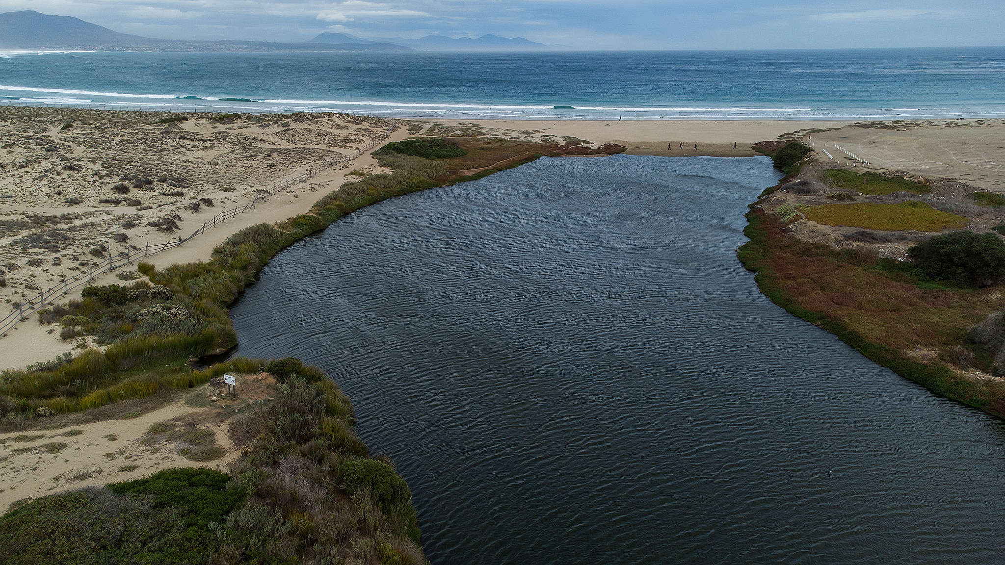 Día Mundial de los Humedales, ecosistemas guardianes del agua y la vida ...