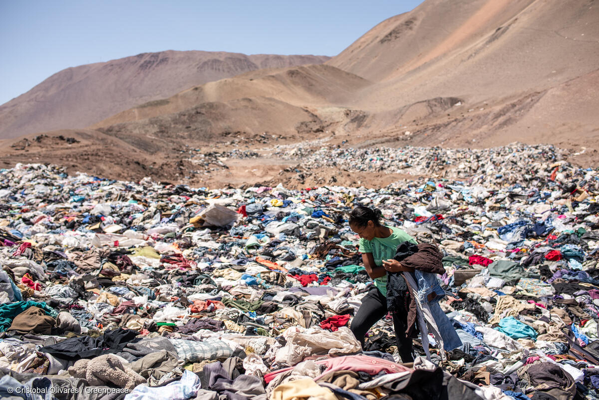 6 impactos de la moda en el ambiente que tienes que conocer ...