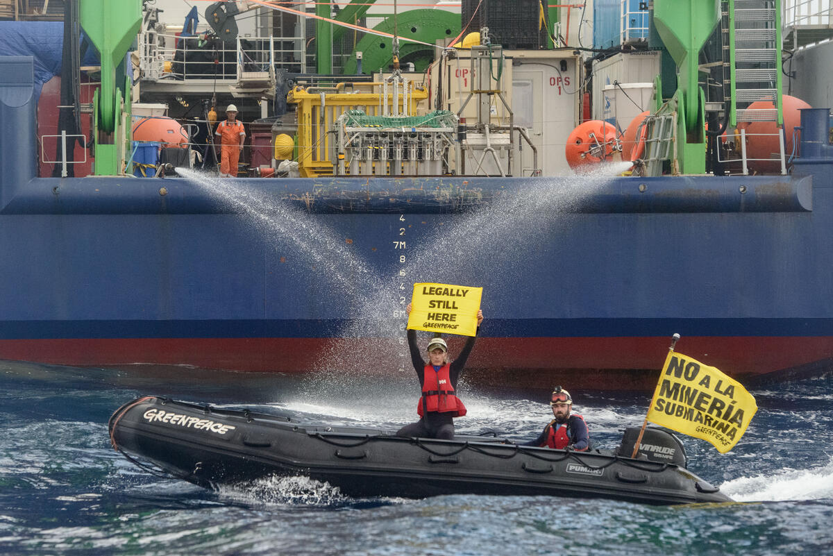 Las mejores acciones de Greenpeace de 2023 - Greenpeace Chile Las mejores acciones de Greenpeace de 2023 - Greenpeace Chile
