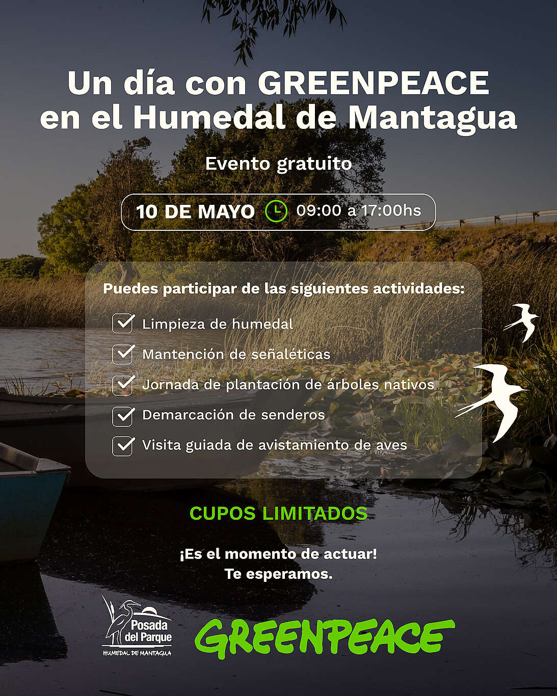 Un día con Greenpeace en Valparaíso: en acción para proteger al Humedal ...