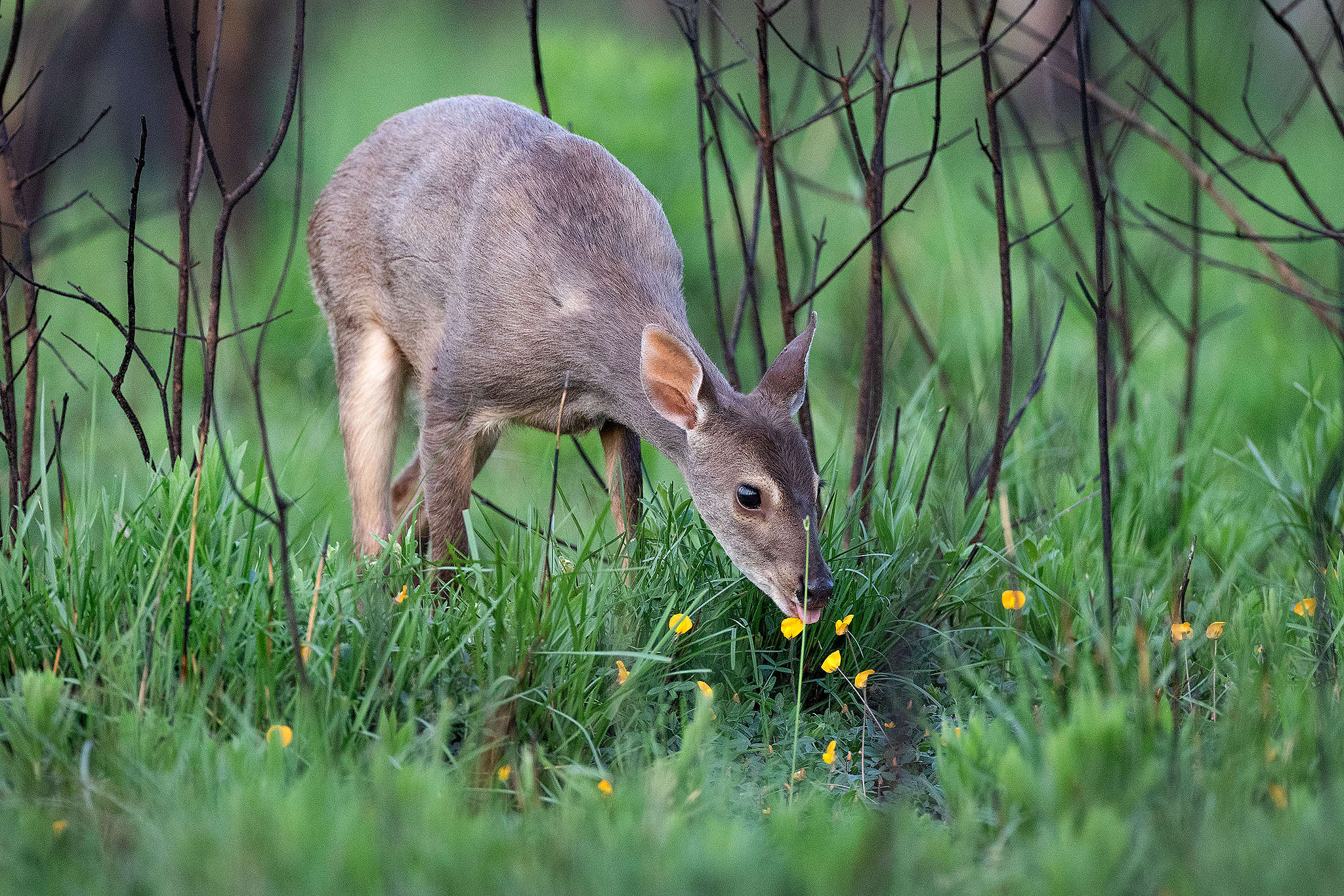 Día Mundial de la Tierra: reconectar con lo natural para sanar al ...