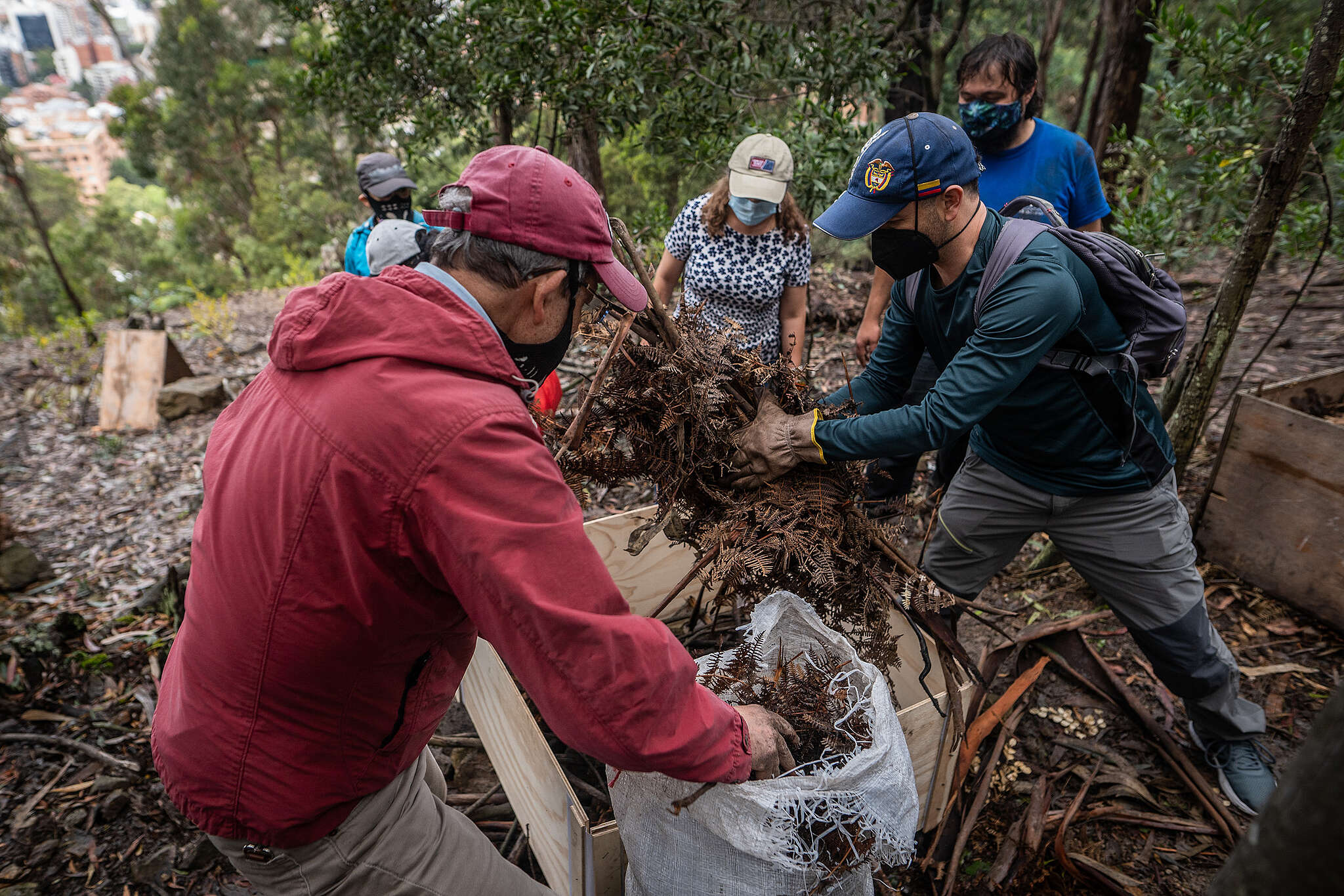 Sí al Compostaje: - Greenpeace Colombia