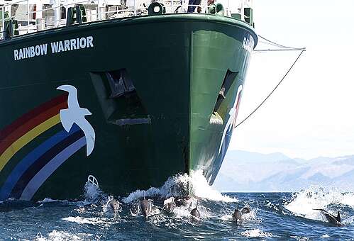 Barco Rainbow Warrior: por qué lo hundieron y qué ocurrió tras la tragedia - Greenpeace Colombia