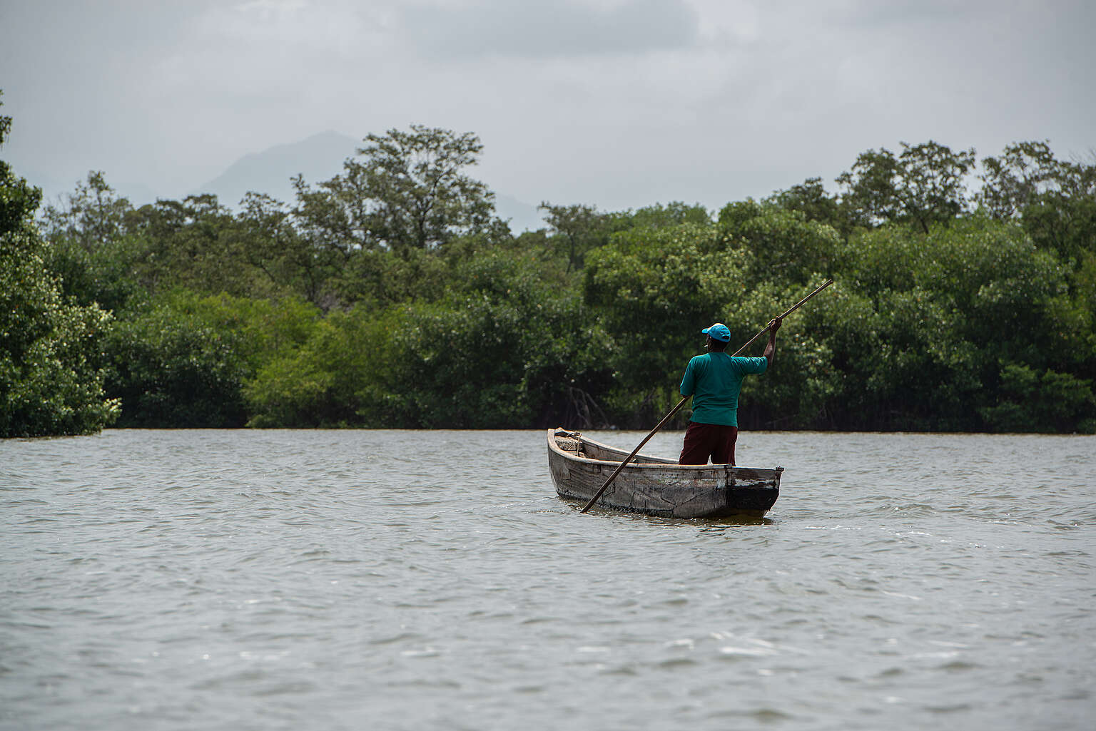 Todo lo que tienes que saber sobre los manglares de Colombia ...