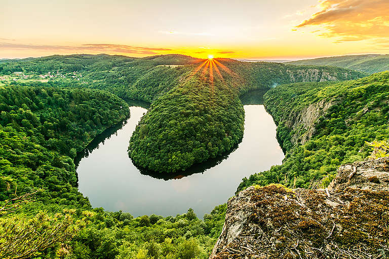 Příroda - Greenpeace Česká republika