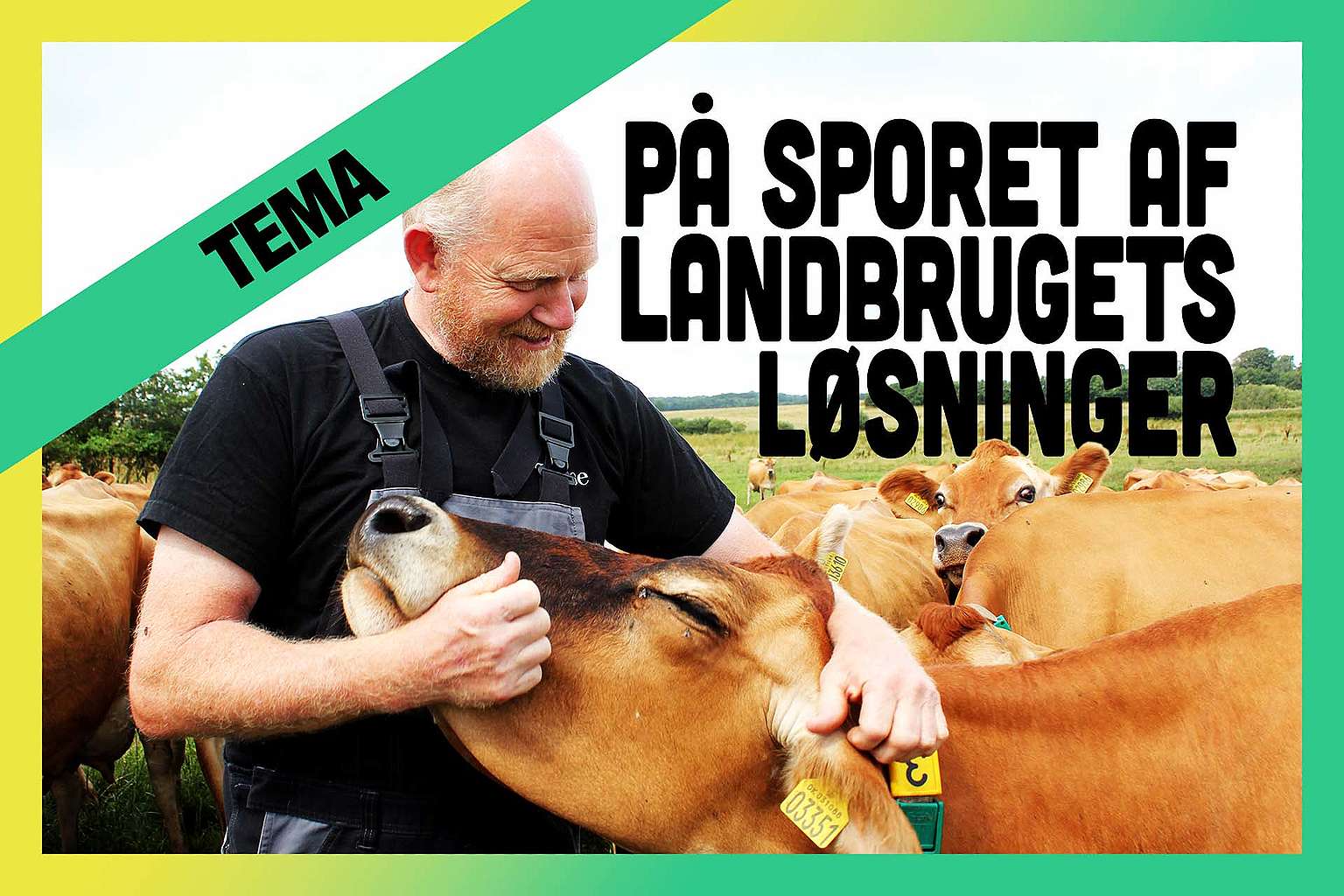 Dansk landbrug - Greenpeace Danmark