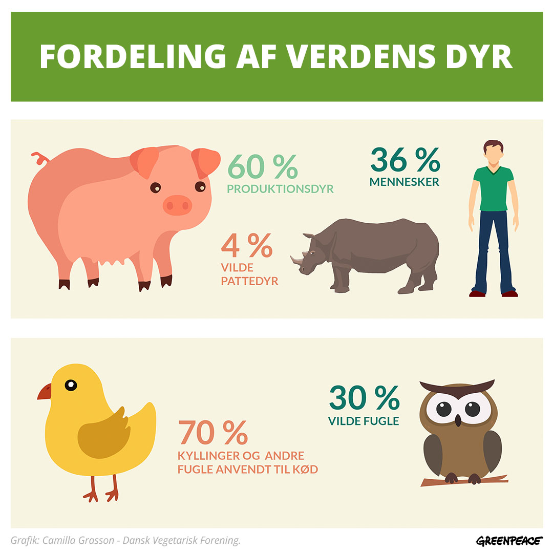 Naturens vilde arter betaler prisen for den animalske ...