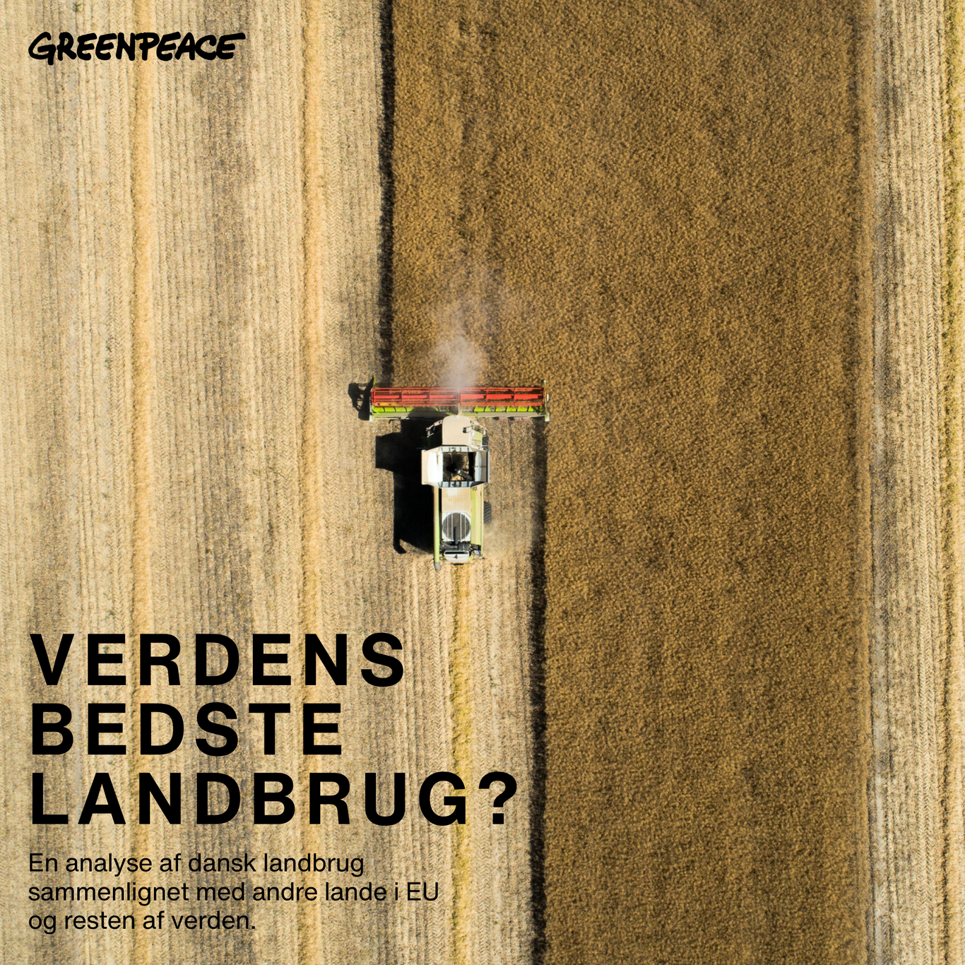 Er dansk landbrug verdens bedste? Tallene viser noget andet ...
