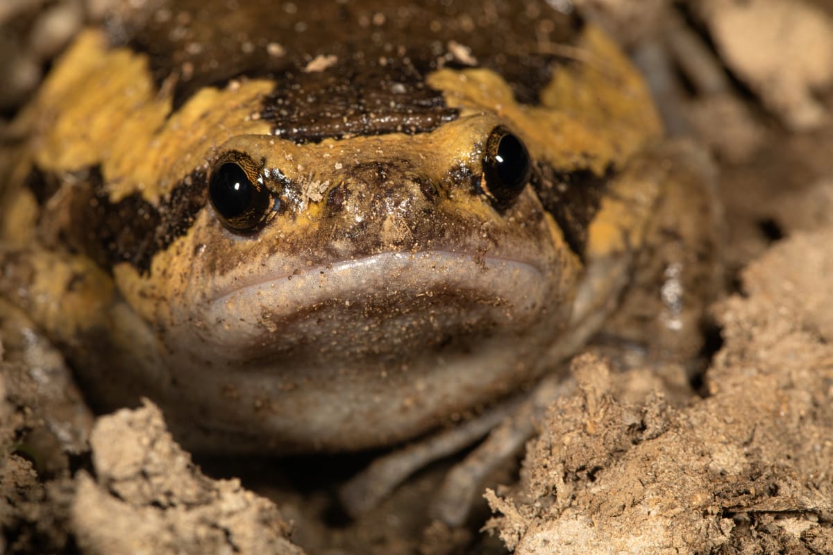 Their stories through visuals: a way for awarded photographers to ...