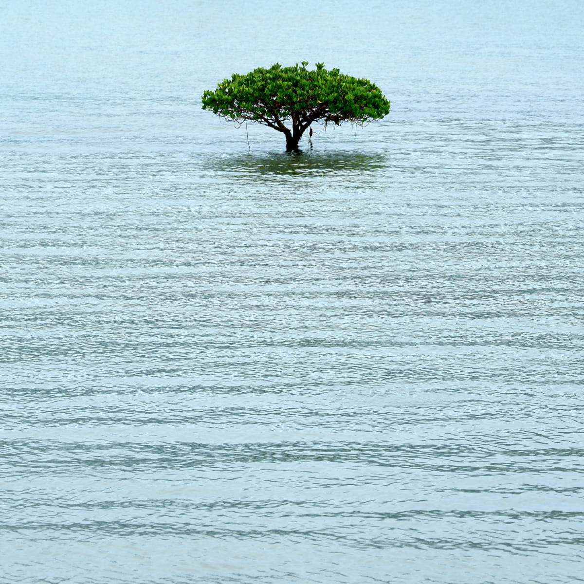 Their stories through visuals: a way for awarded photographers to ...