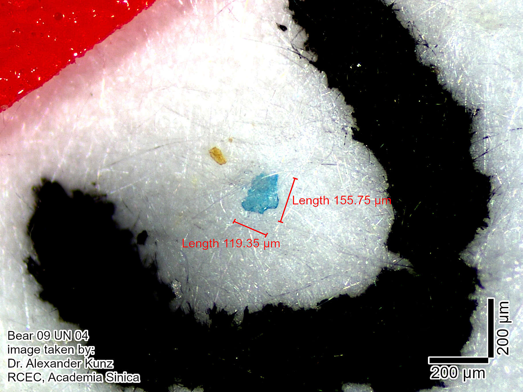 Ubiquitous Microplastics in the Habitat: Understand the First Study on ...