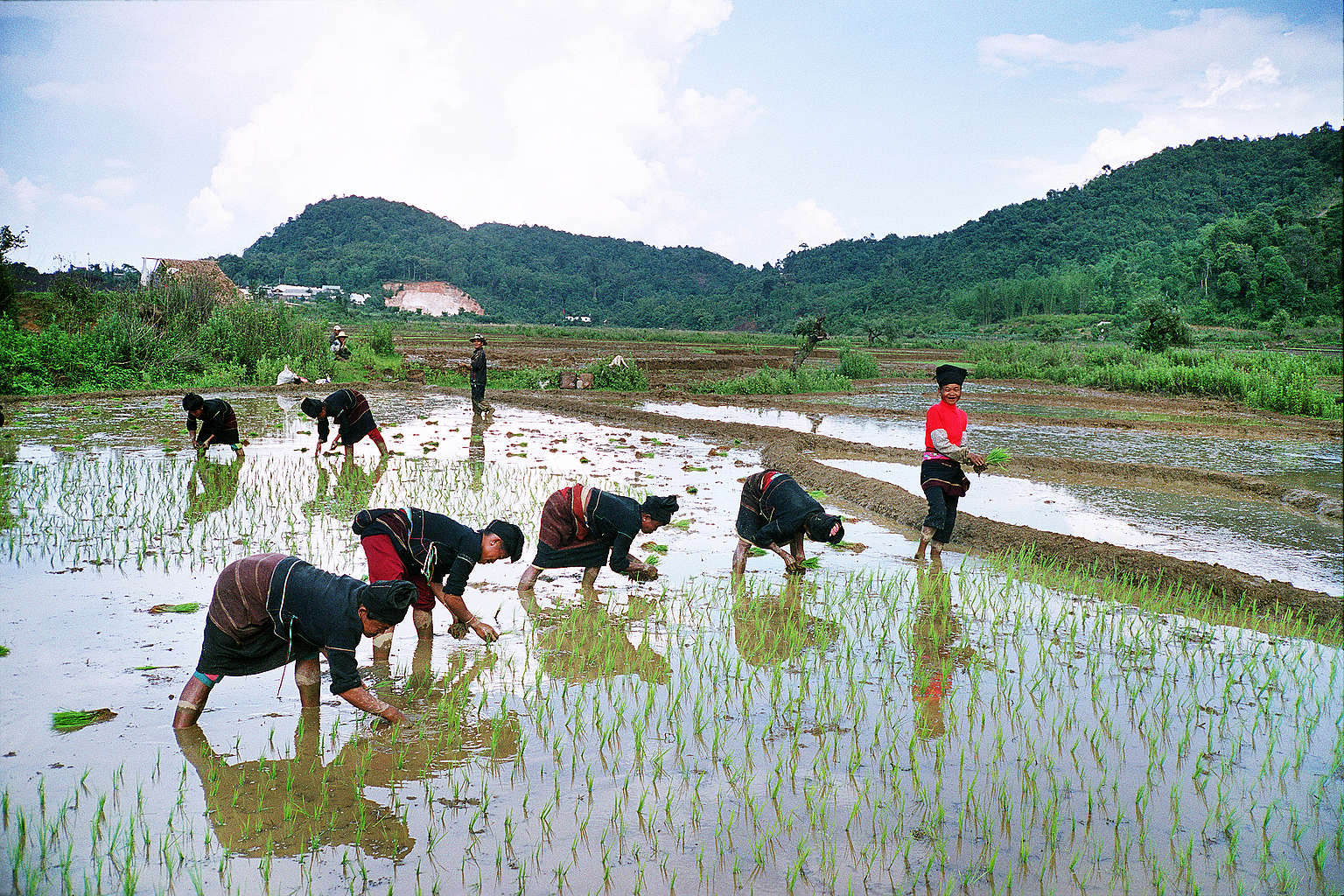 Shell’s scandal in China highlights the greenwashing and climate risks ...