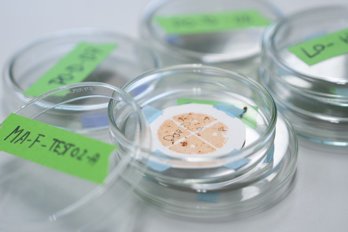 First Evidence in Hong Kong Found Microplastics in Feces of Wild ...