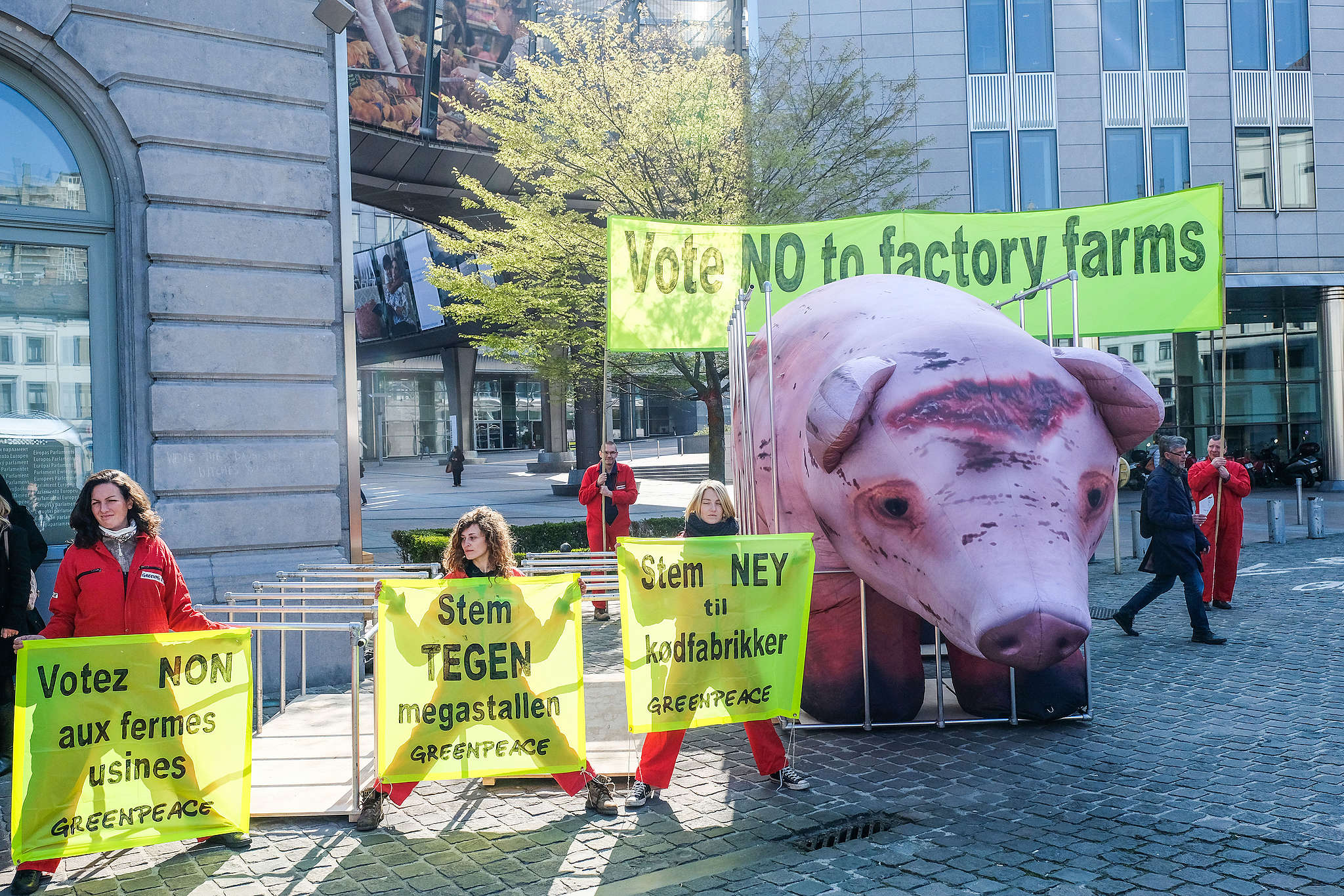 EU Parliament must choose family farms over factory farms, Greenpeace ...