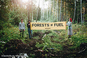 5 reasons why burning trees for energy is bad for climate, people and ...