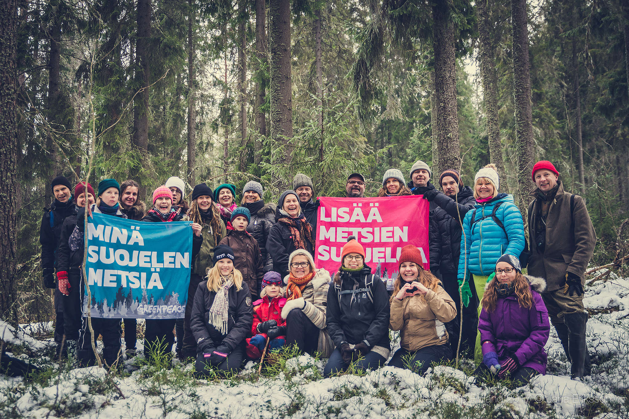Metsät Greenpeace Suomi