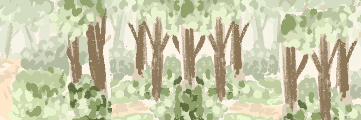 Report announcement: Investigative Research into Domtar’s lobbying in ...