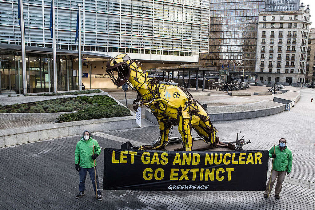 Νίκος Χαραλαμπίδης - Greenpeace Ελλάδα