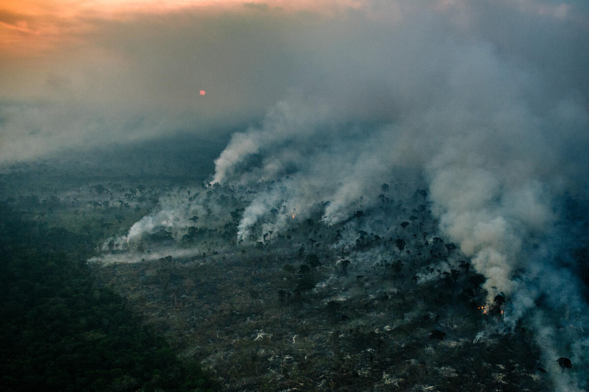 Το 2022 σε στιγμές: 10 + 1 φωτογραφίες - Greenpeace Ελλάδα