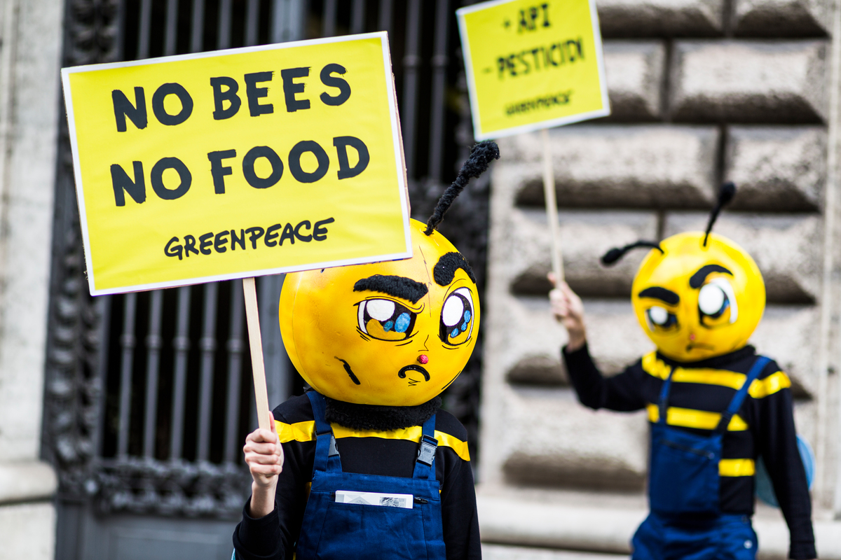 Αποκάλυψη Greenpeace: Η Ευρωπαϊκή Ένωση εξάγει ετησίως πάνω από 10.000 ...