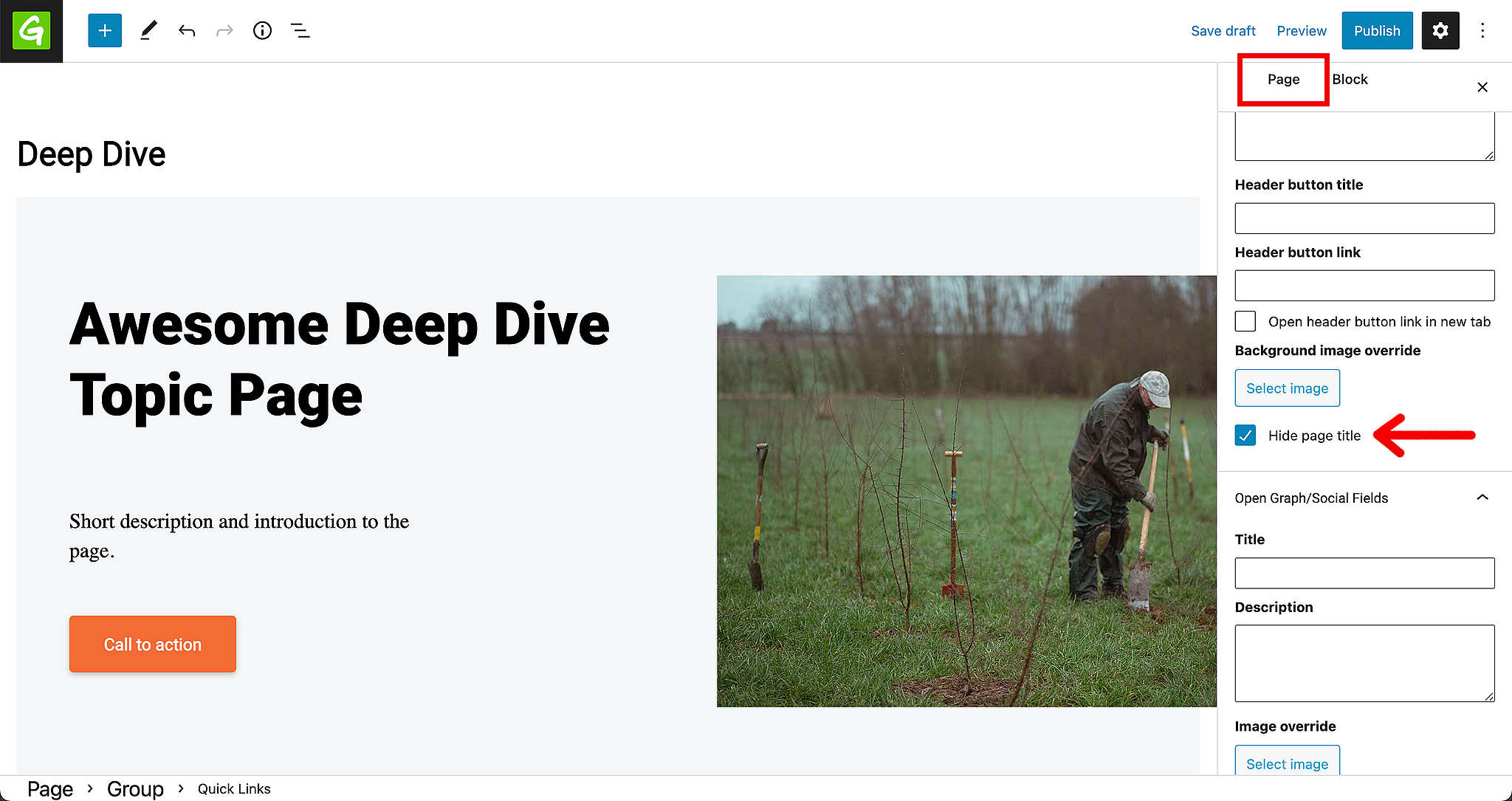 Create Deep Dive Topic Pages - Greenpeace Planet 4 Handbook
