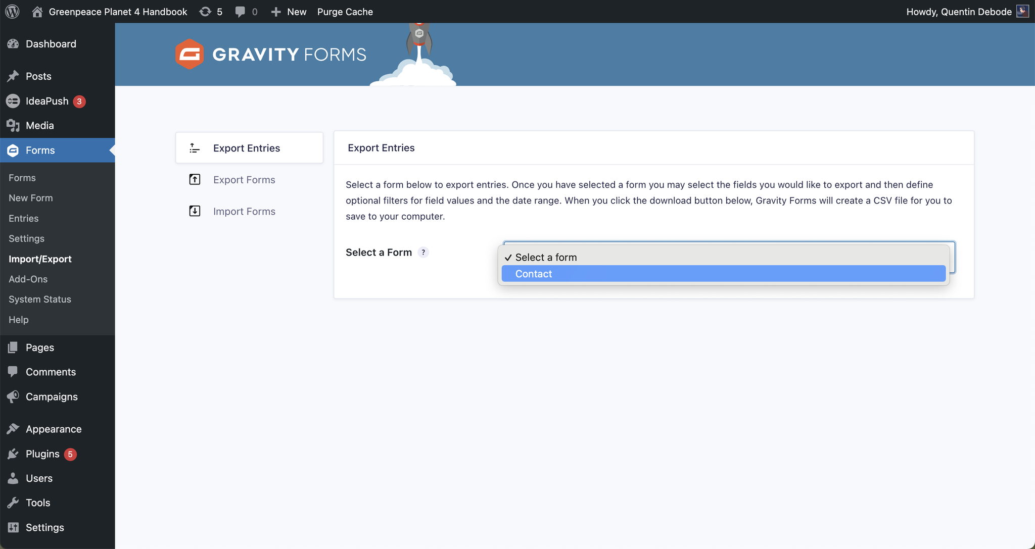 Export all Gravity Forms Entries and Include them in an Excel Sheet - Greenpeace Planet 4 Handbook
