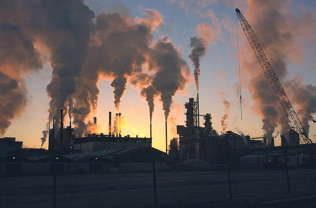 A history of Greenpeace's Toxics campaign in Aotearoa from 1990 to 2020 ...