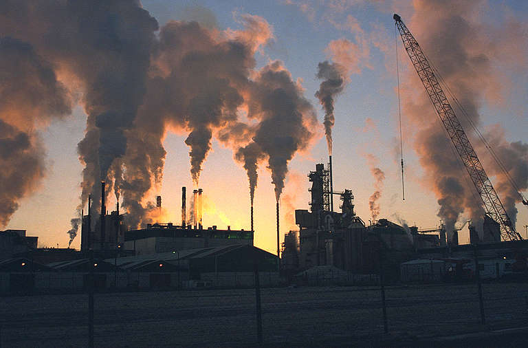 A history of Greenpeace's Toxics campaign in Aotearoa from 1990 to 2020 ...