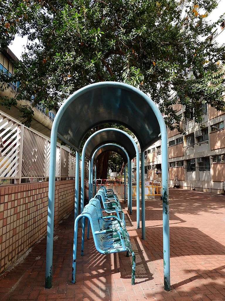自然散步練習‧路線2│彩虹邨重建倒數 跟住樹木地圖 遊走宜居城中城 - Greenpeace 綠色和平 | 香港