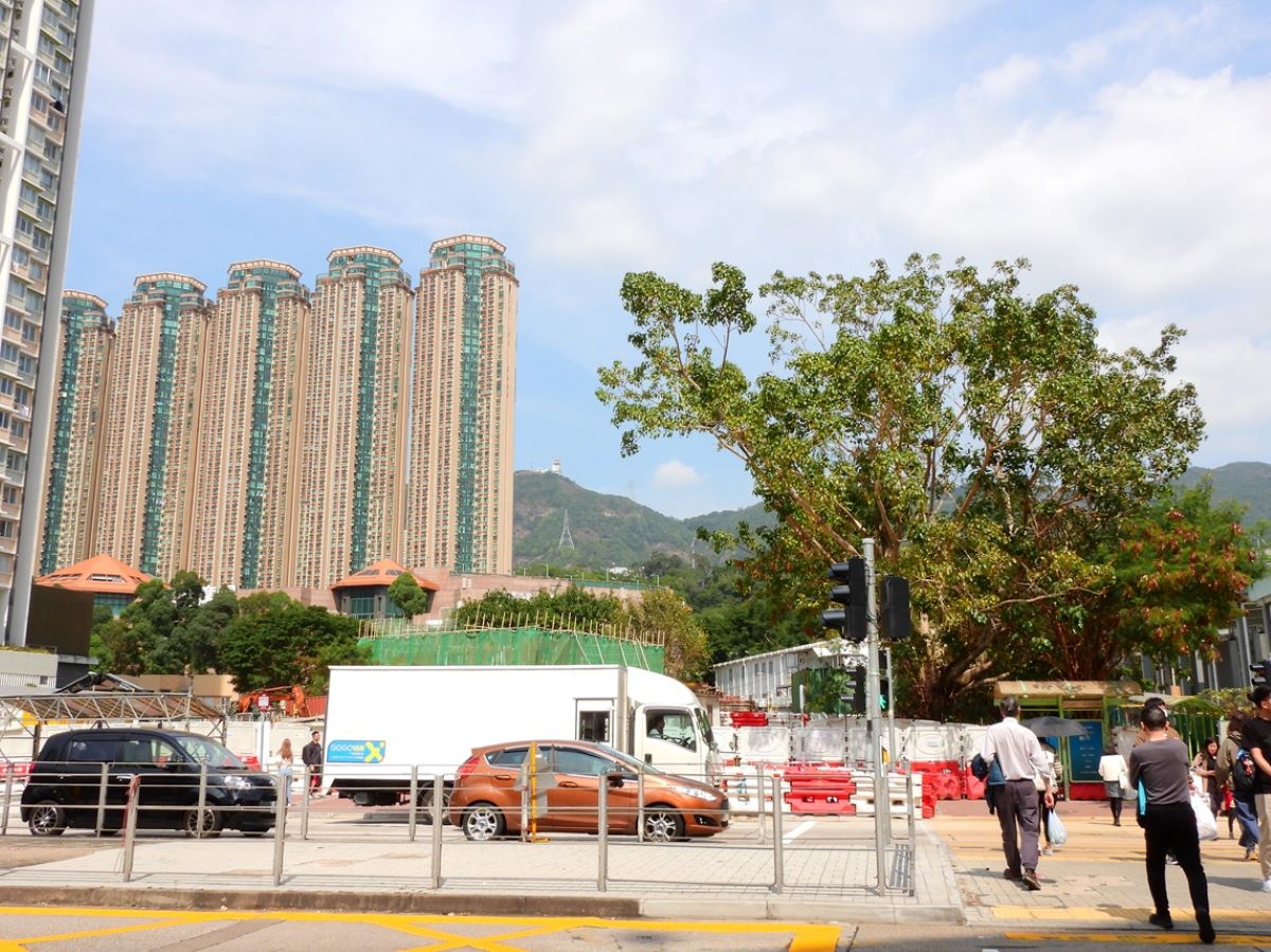 自然散步練習‧路線2│彩虹邨重建倒數 跟住樹木地圖 遊走宜居城中城 - Greenpeace 綠色和平 | 香港