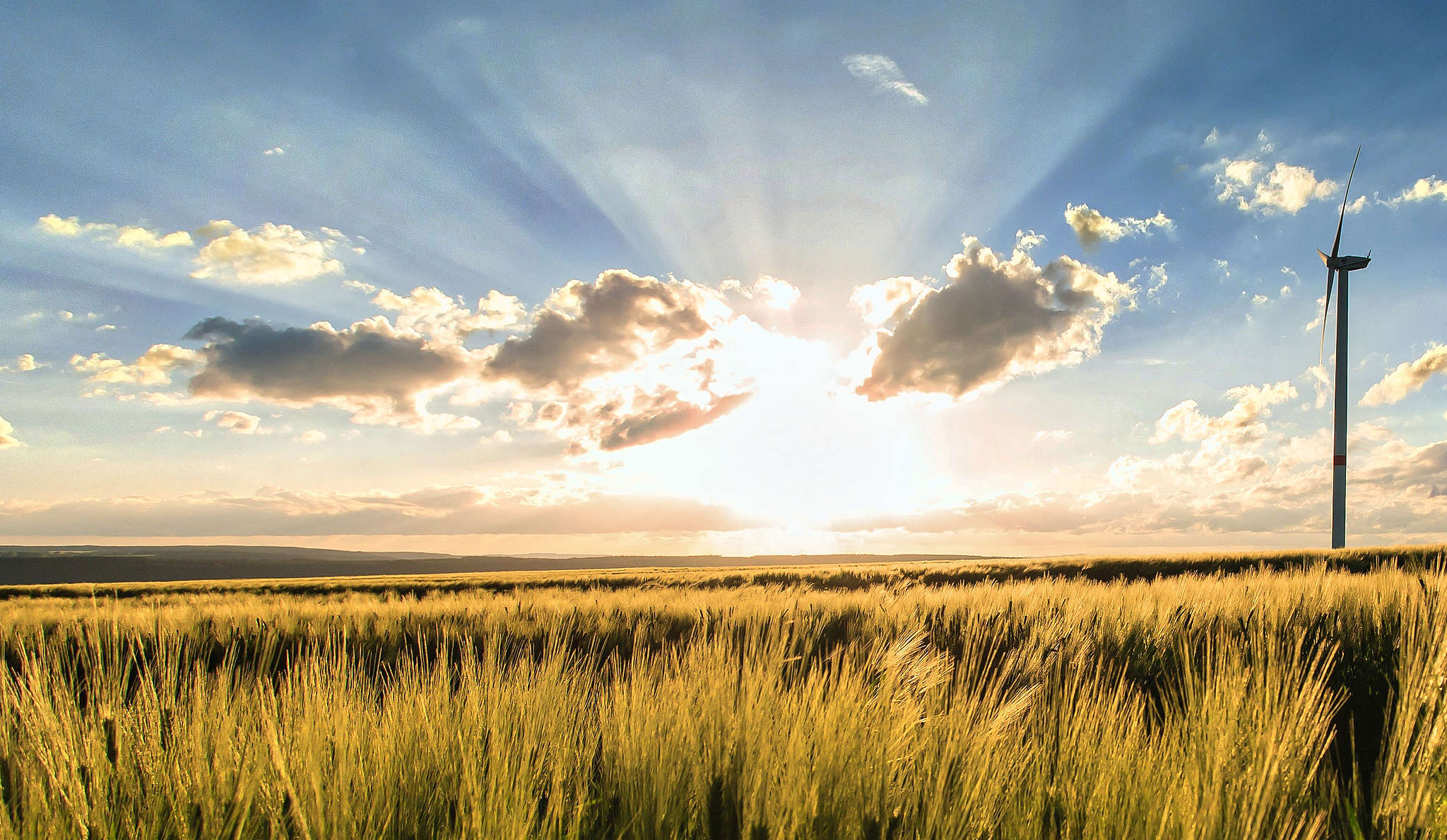 Towards a Green Recovery - Greenpeace India