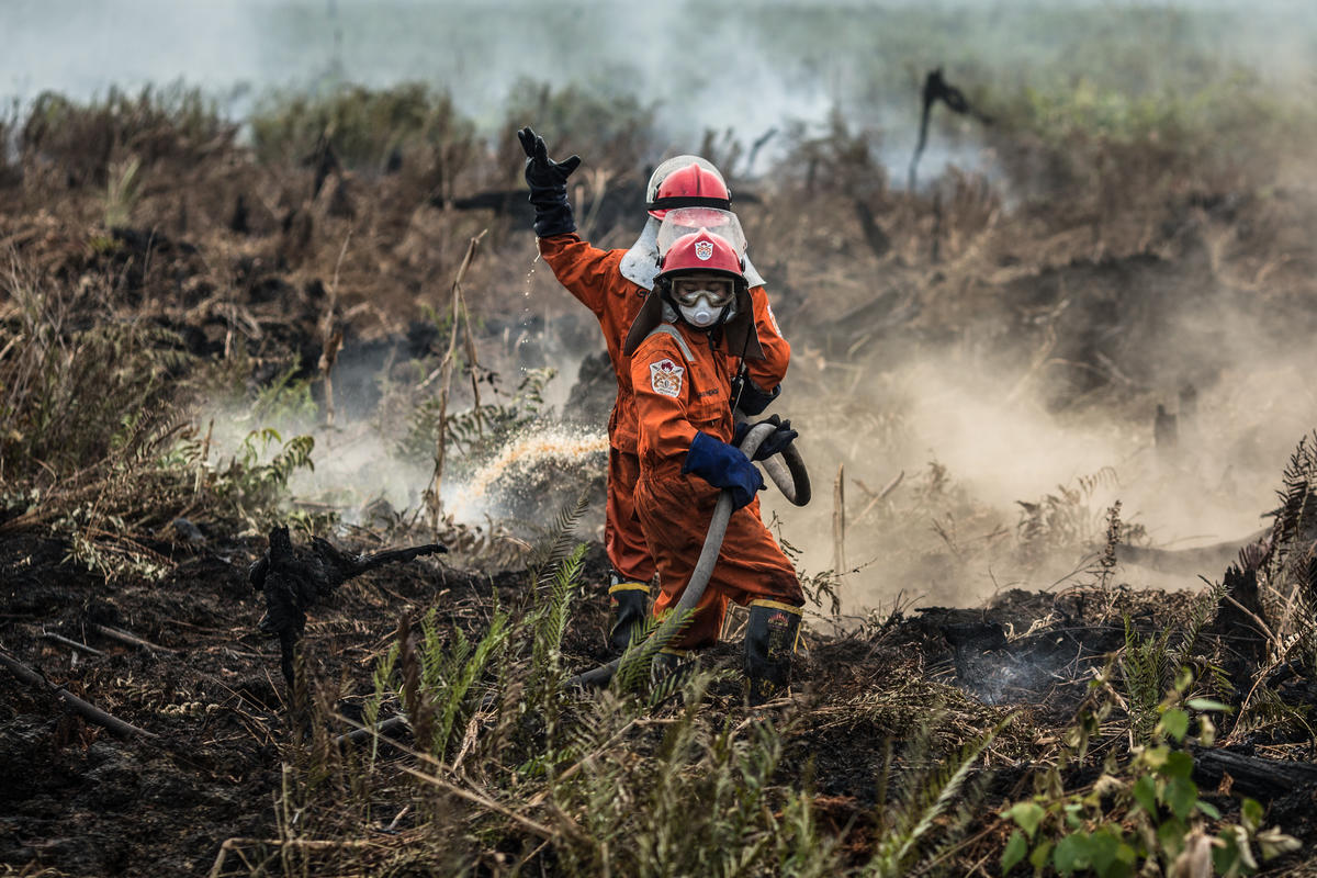 Tim Cegah Api - Greenpeace Indonesia