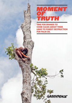 Kebakaran Hutan dan Lahan - Greenpeace Indonesia