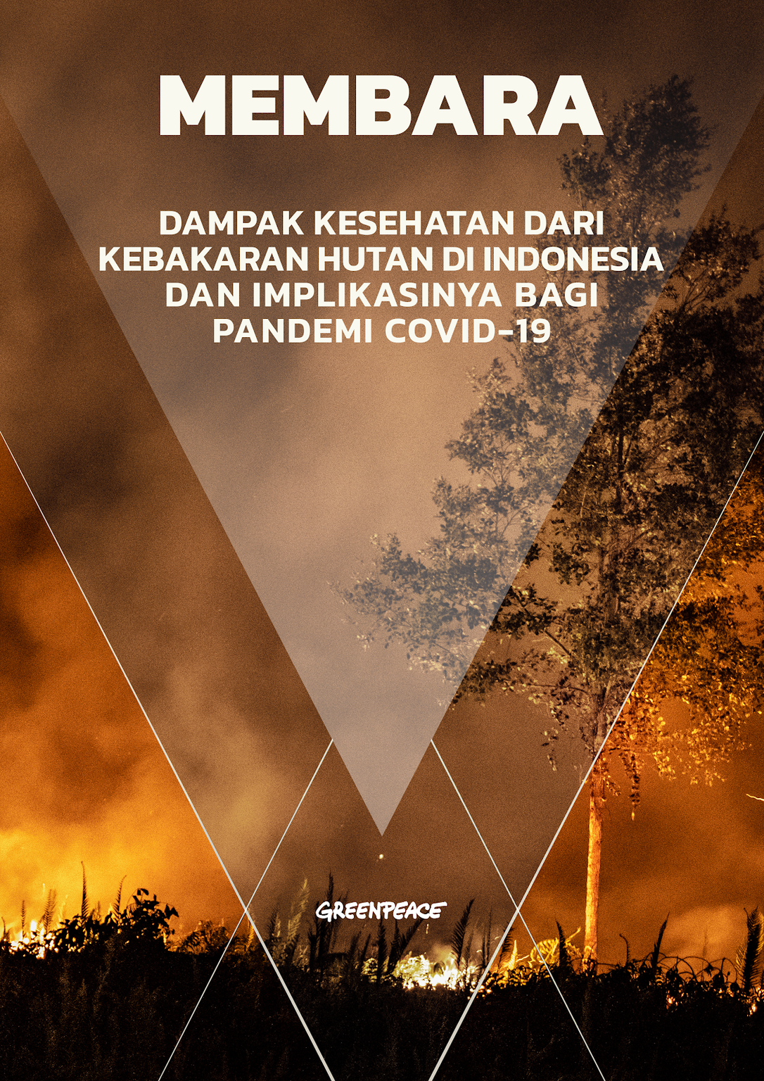 Kebakaran Hutan dan Lahan - Greenpeace Indonesia