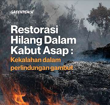 Kebakaran Hutan dan Lahan - Greenpeace Indonesia