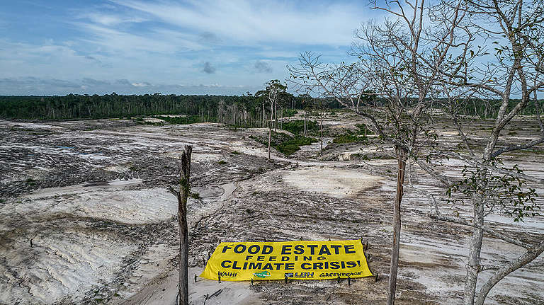 Food Estate Feeding The Climate Crisis - Greenpeace Indonesia