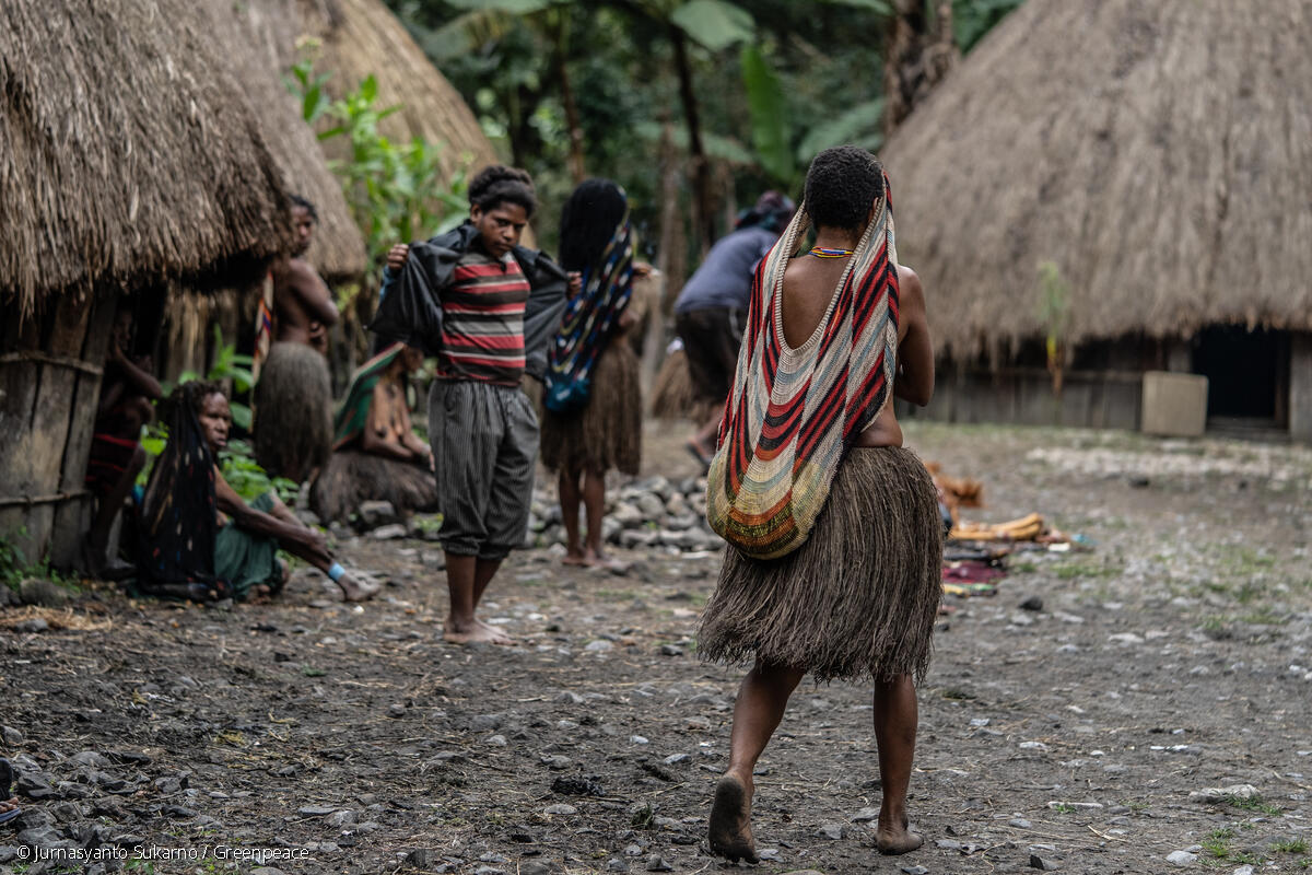 Kekayaan Alam Melimpah, Kutukan atau Anugerah bagi Tanah Papua ...