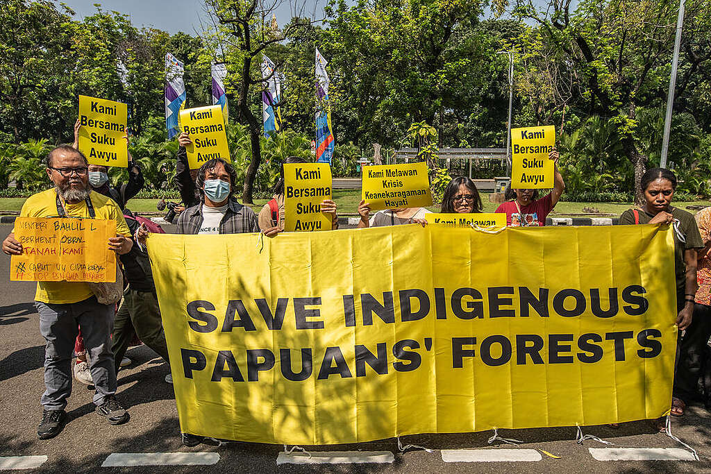 Suku Awyu dan Moi Gelar Aksi Damai di Mahkamah Agung, Serukan ...