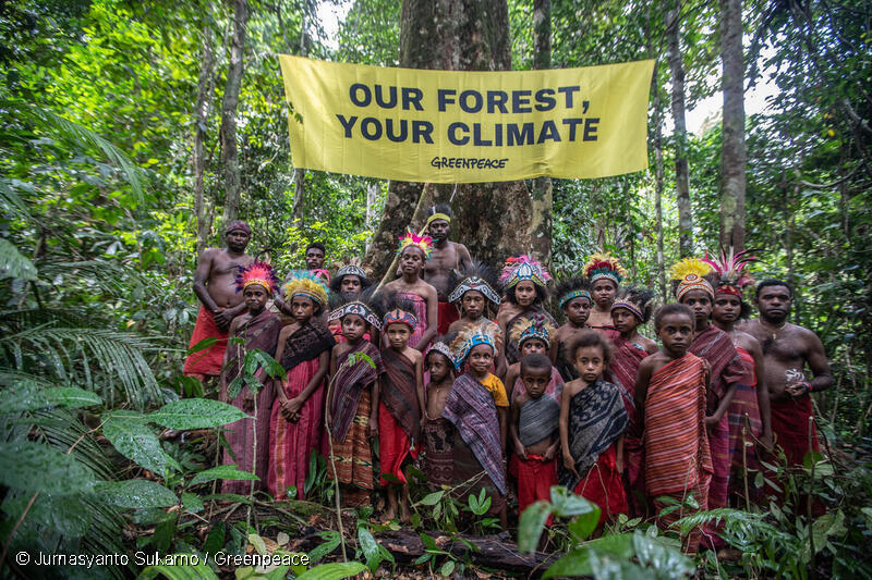 Hutan Adat di Kampung Sira - Greenpeace Indonesia