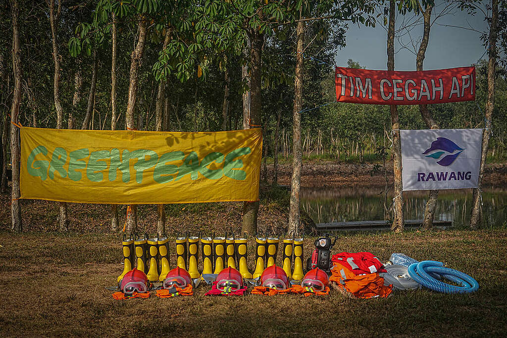 Kebakaran Hutan dan Lahan - Greenpeace Indonesia