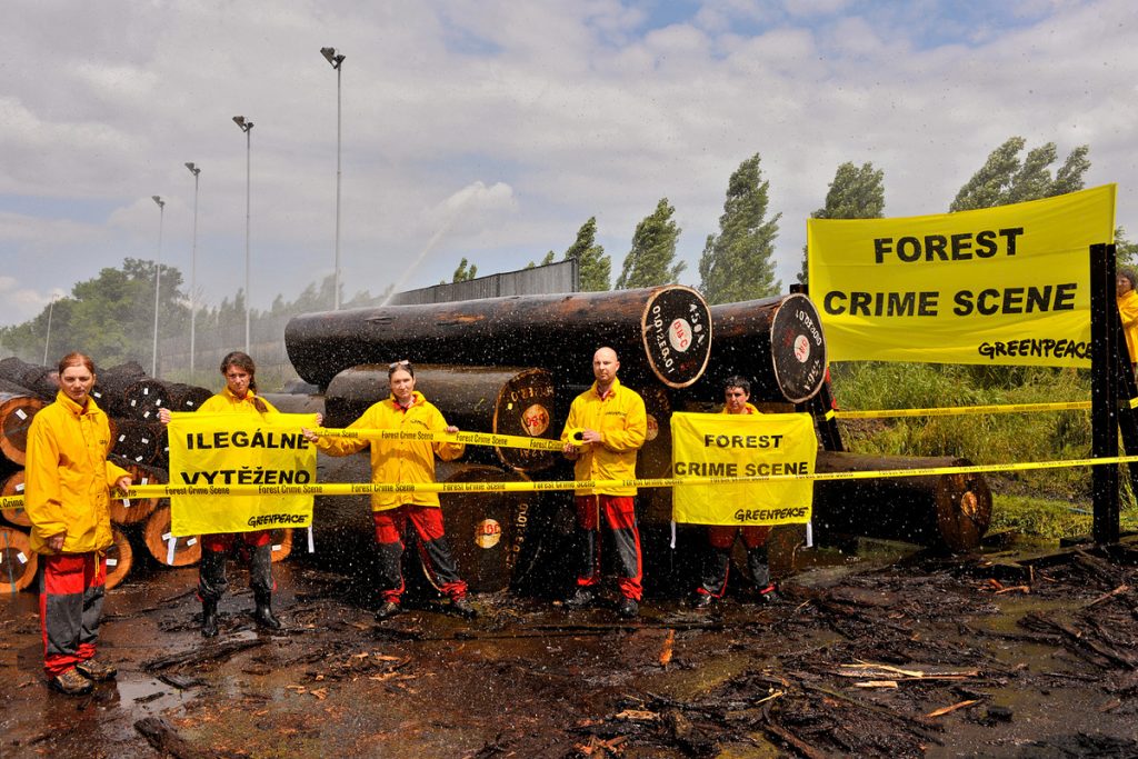The lengths illegal wood will travel - Greenpeace International