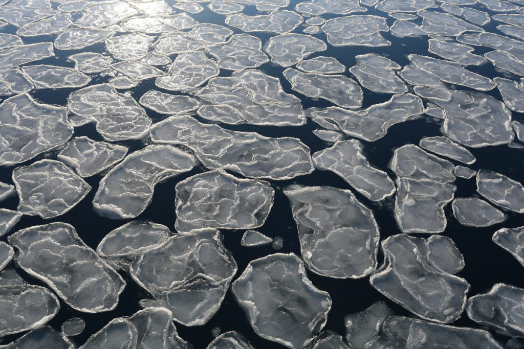 Melting sea ice breaks new records — an Arctic sanctuary is more urgent ...