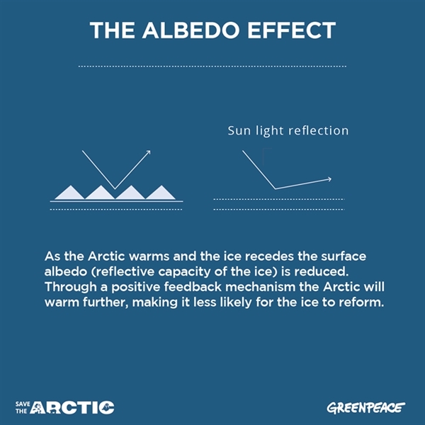 What happens in the Arctic affects us all - Greenpeace International