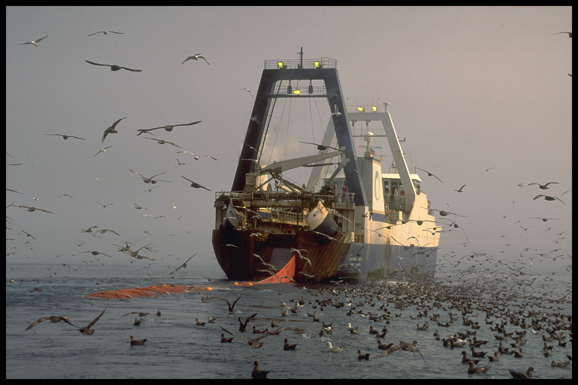 Factory Trawler NORTHERN EAGLE - Greenpeace International