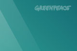 Terms - Greenpeace International