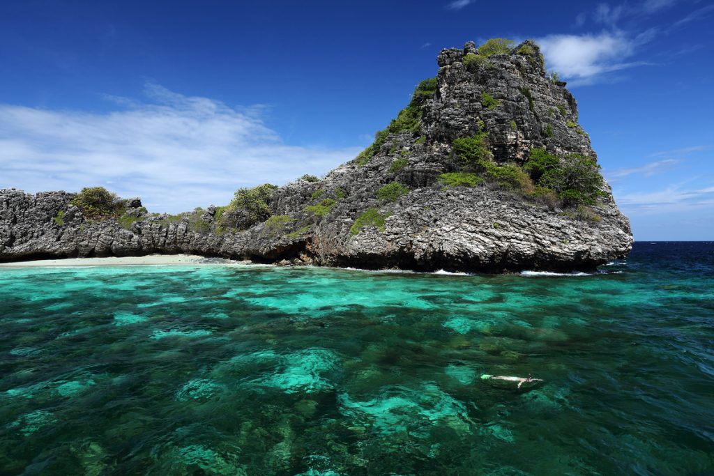 3 big reasons why we need ocean sanctuaries now - Greenpeace International