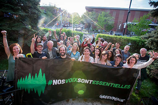 How is Greenpeace structured? - Greenpeace International