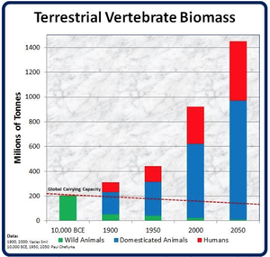 How much of Earth’s biomass is affected by humans? - Greenpeace ...